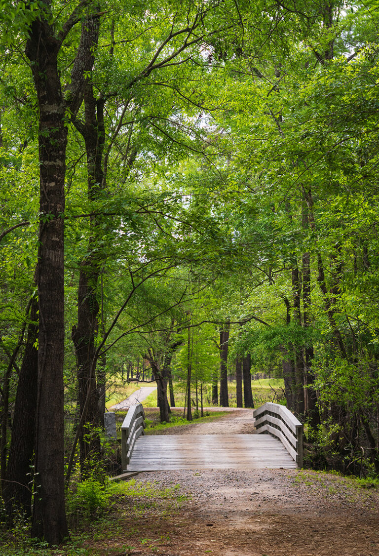Exploring North Carolina’s Military History - Occano